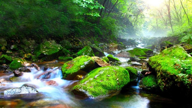 10 hours Stream Sounds - Where to Watch Movie