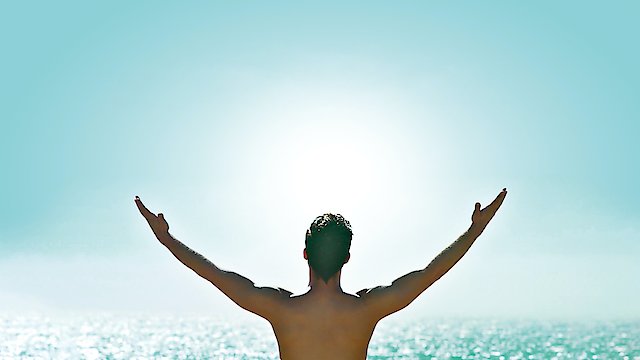 Everything is Free - Where to Watch Movie