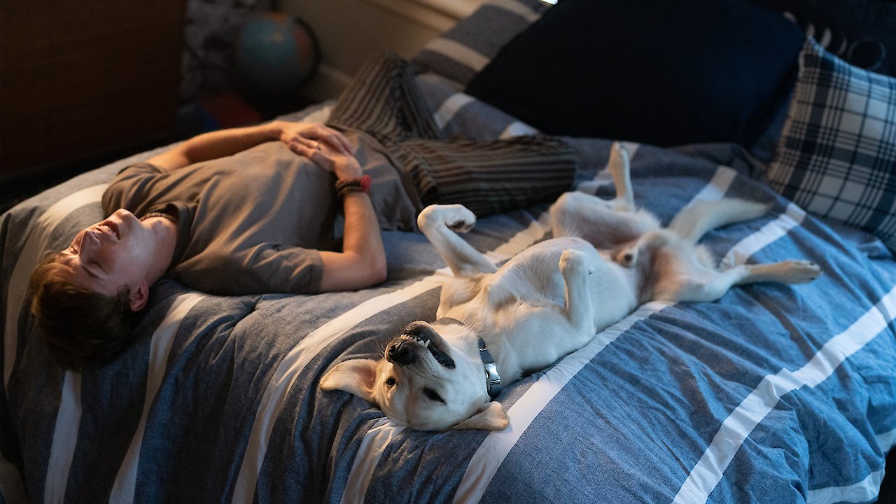 Dog Gone - Where to Watch Movie