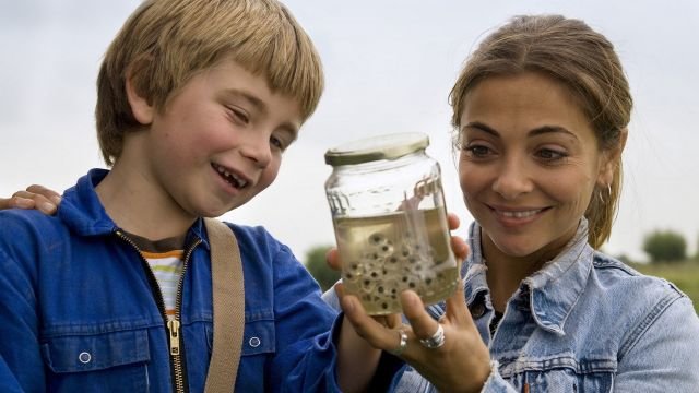 Frogs & Toads - Where to Watch Movie Frogs & Toads - Where to Watch Movie