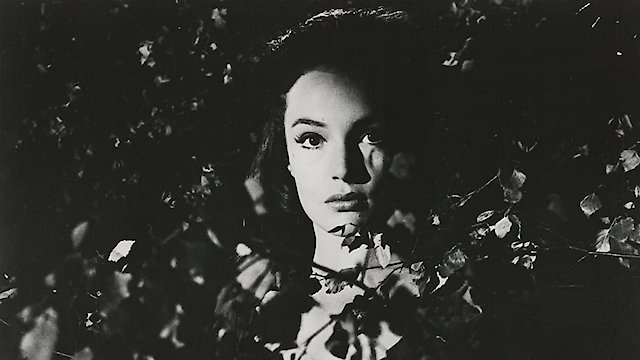 Snake Woman - Where to Watch Movie