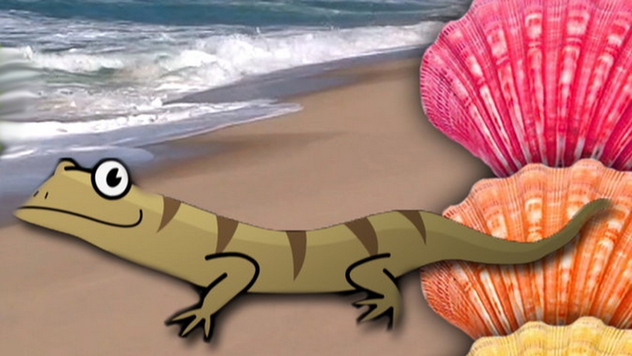 Go Eco - Where To Watch TV Show