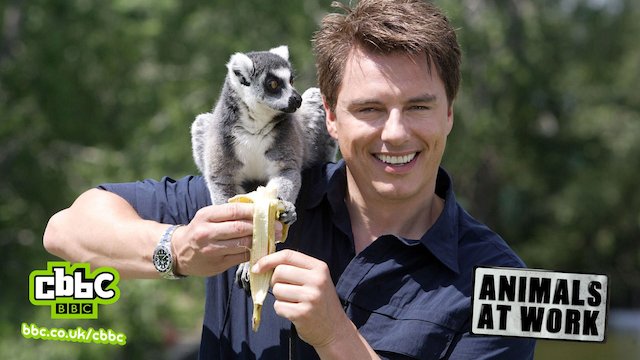 Animals at Work - Where To Watch TV Show