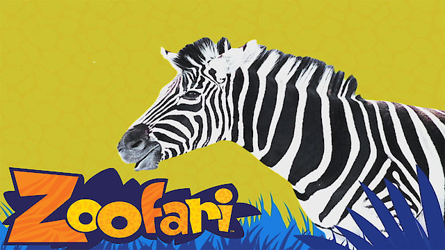 Zoofari - Where To Watch TV Show