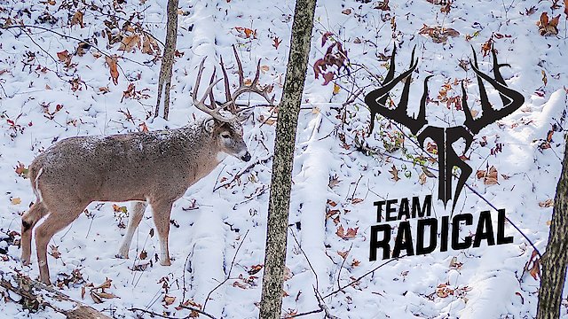 Team Radical Deer Hunting - Where To Watch TV Show