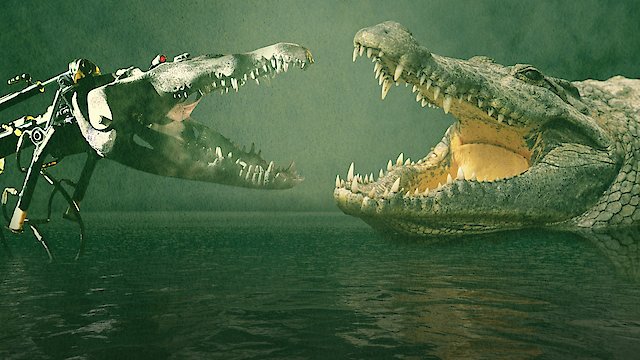 Ultimate Animal Showdown - Where To Watch TV Show