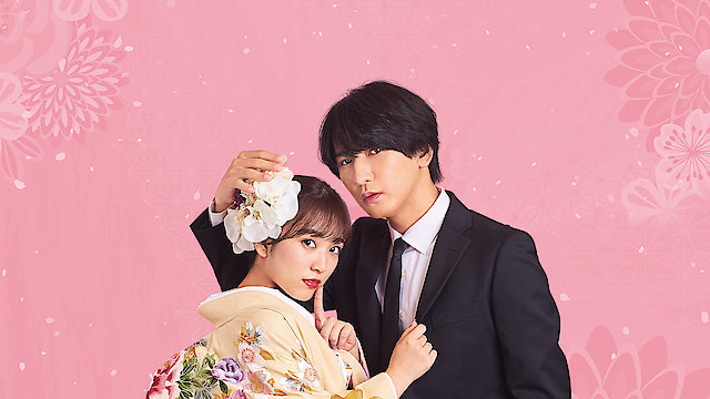 The Princess Bodyguard's Love - Where To Watch TV Show